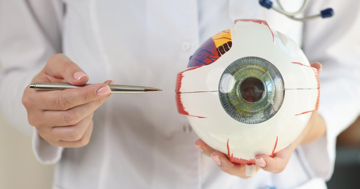 La córnea: Estructura, función y enfermedades comunes - COM